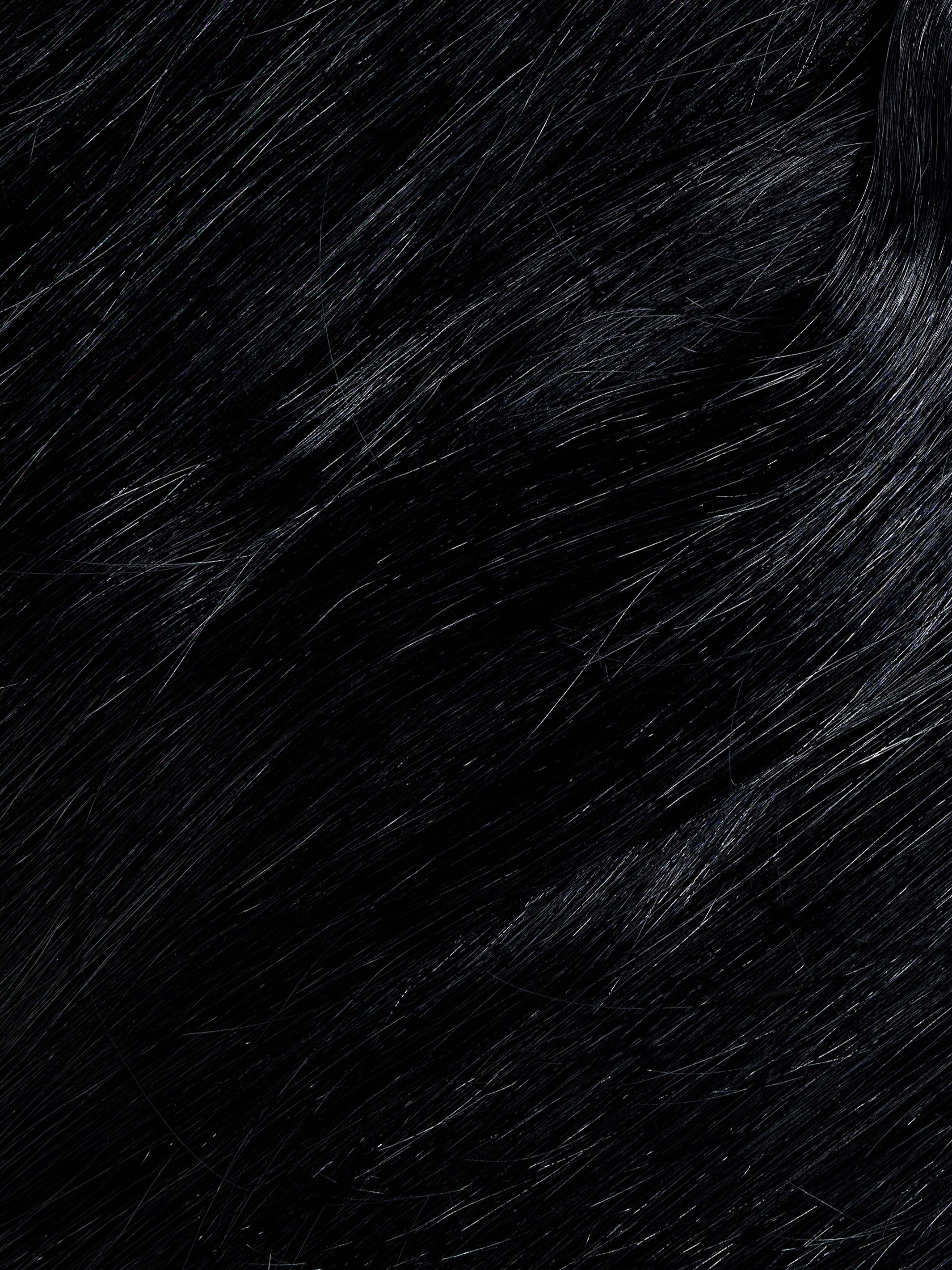 Jet Black Seamless Clip-In Remy Human Hair Extensions (20" and 180 ...